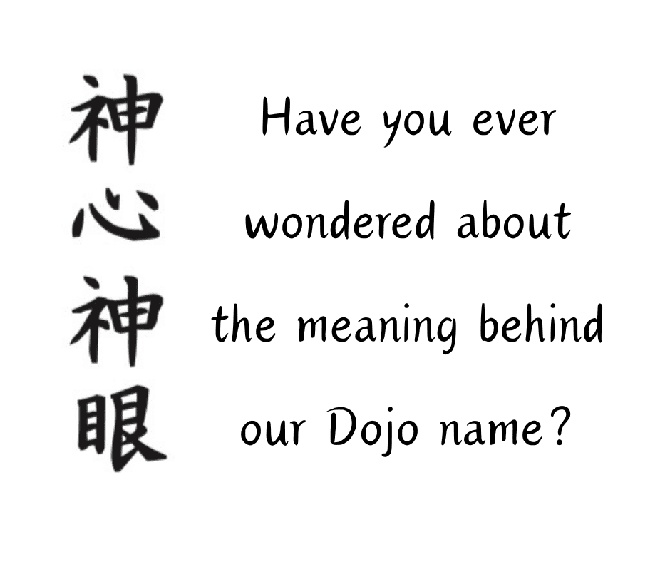 The Meaning Behind Our Name: Shin Gan Dojo - Martial Arts Dojo in ...